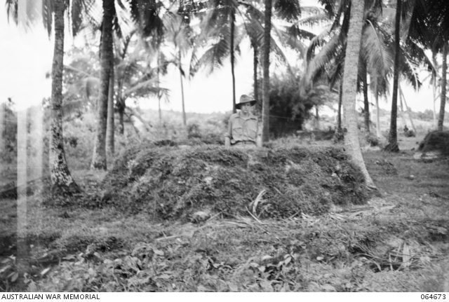 CEYLON. 1942-06. A 6TH DIVISION WEAPON PIT IN A COCONUT GROVE ...