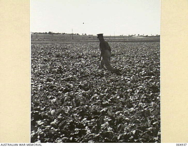 BARMERA, SOUTH AUSTRALIA. 1943-03-11/17. S3065 CAPTAIN R.R. RUDD ...