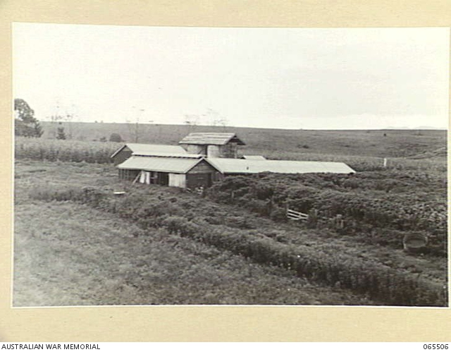 KAIRI, QLD. 1944-03-31. GENERAL VIEW OF THE SILOS, MILKING SHEDS ...