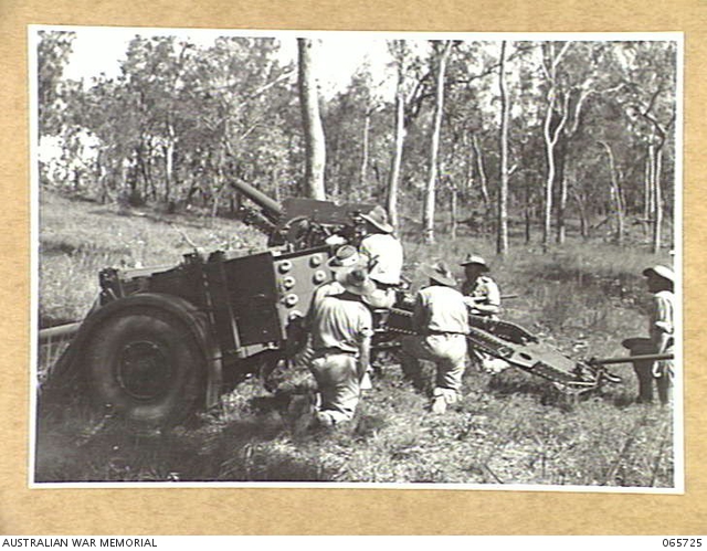 KAIRI, QLD. 1944-04-11. TROOPS OF THE 2/7TH FIELD REGIMENT IN POSITION ...