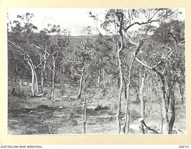 WATSONVILLE AREA, QLD. 1944-04-28. GENERAL VIEW OF A LINE OF WEAPON ...