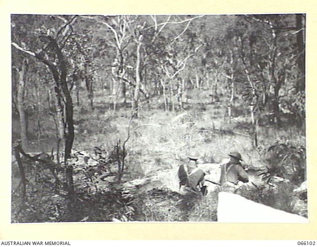WATSONVILLE AREA, QLD. 1944-04-28. GENERAL VIEW OF A LINE OF WEAPON ...