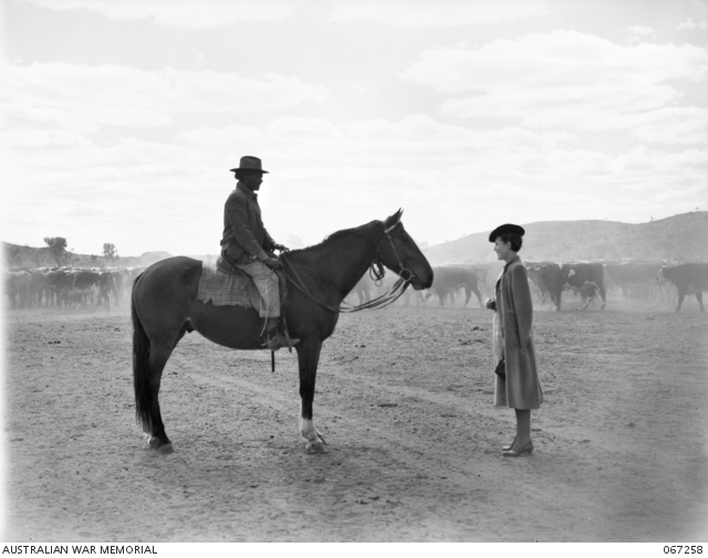 DR EDITH SUMMERSKILL, A MEMBER OF THE BRITISH HOUSE OF COMMONS AND OF ...