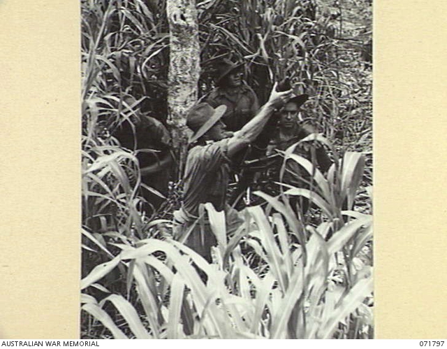 LAKONA, NEW GUINEA, 1944-03-29. A MORTAR DETACHMENT FROM THE 30TH ...