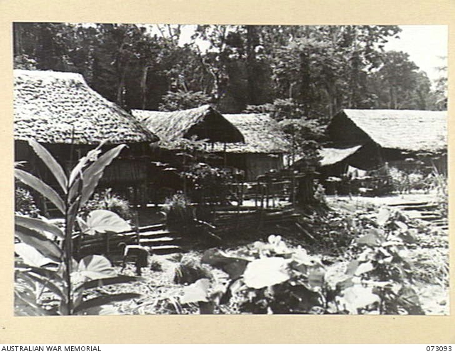 BASU RIVER VALLEY, NEW GUINEA. 1944-05-14. A SECTION OF A CHINESE ...