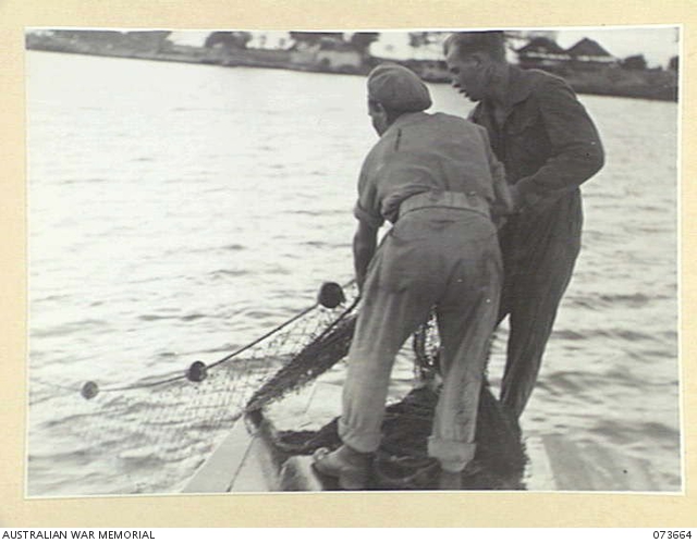 SALAMAUA, NEW GUINEA. 1944-06-02. QX36339 PRIVATE H.S. WARD (1), AND ...