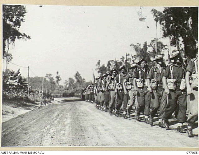 BOUGAINVILLE, 1944-11-21. PERSONNEL OF THE 9TH INFANTRY BATTALION ...