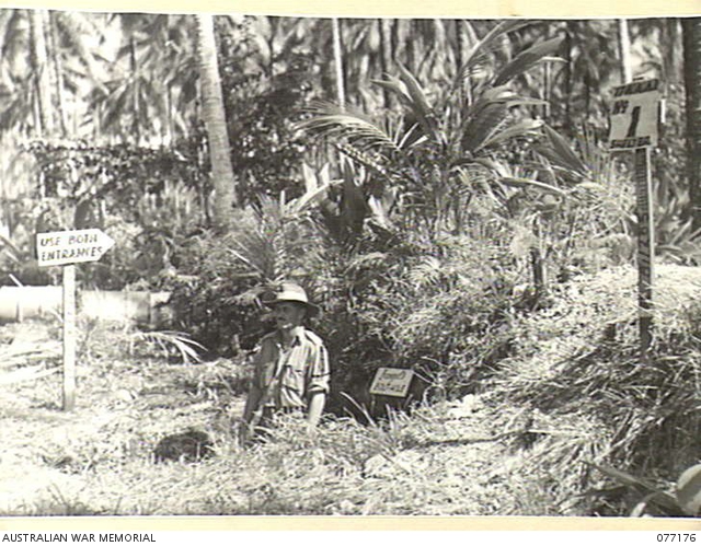 PALMALMAL PLANTATION, NEW BRITAIN. 1944-11-24. NX103881 CAPTAIN F.H ...