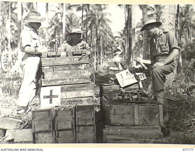 PALMALMAL PLANTATION, NEW BRITAIN. 1944-11-24. OFFICERS OF THE 17TH ...