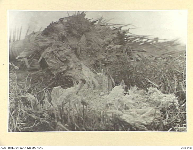 DANMAP RIVER, NEW GUINEA. 1945-01-05. THE EFFECTS OF A NEW CANADIAN ...