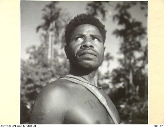 KAKAKOG, NEW GUINEA. 1944-06-27. A TYPICAL NATIVE LABOURER WORKING WITH ...