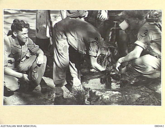 TRINITY BEACH AREA, QUEENSLAND. 1944-09-11. TROOPS OF THE 2/24TH ...