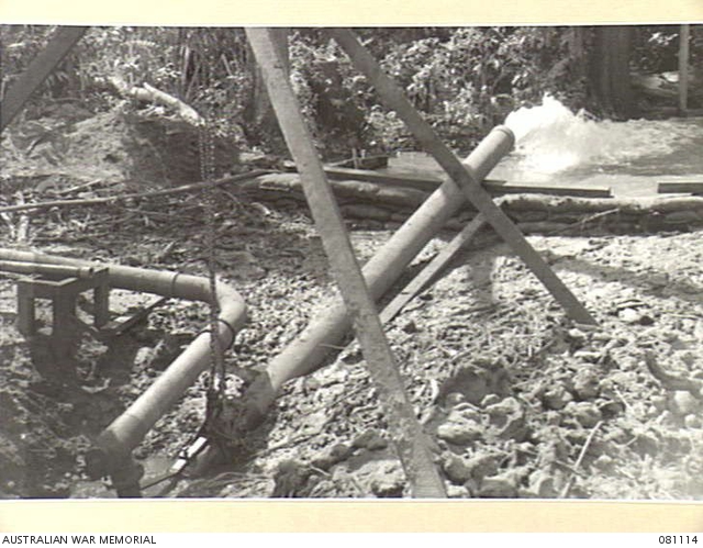 HOWARD SPRINGS, NORTHERN TERRITORY, AUSTRALIA. 1944-09-28. A BLOWER ...