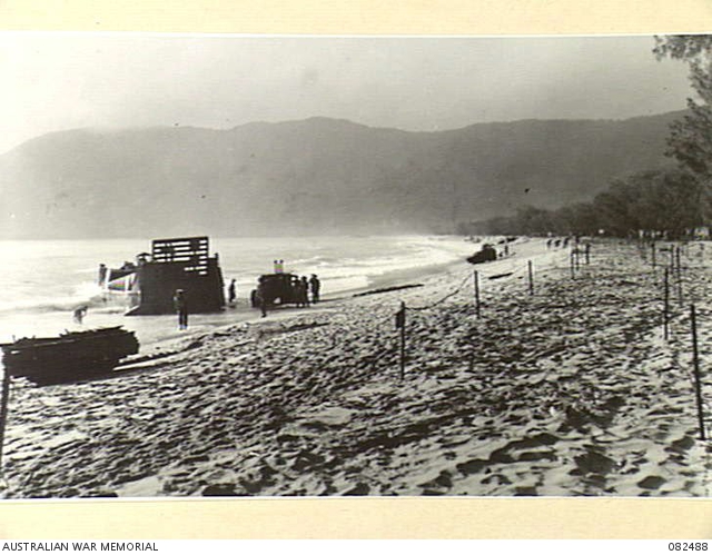 UNITY POINT, NORTH OF TRINITY BEACH, QLD. 1944-11-02. TROOPS UNDER THE ...
