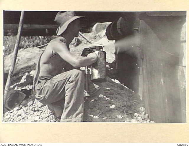 WONGABEL, QLD. 1944-11-09. LANCE-CORPORAL K. WAINWRIGHT, FIELD COMPANY ...