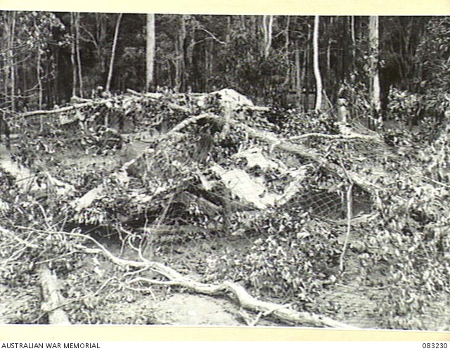WONGABEL, QLD. 1944-11-18. THE REAR VIEW OF A 25 POUNDER GUN PIT AT HQ ...
