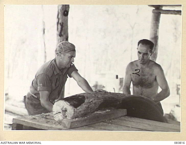 WONGABEL, ATHERTON TABLELAND, QUEENSLAND. 1944-11-22. THE UNIT SAW MILL ...