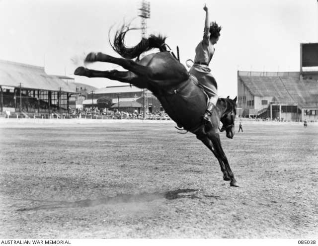 SYDNEY, NSW. 1944-12-30. MISS BERYL RILEY IN ACTION IN THE BUCKJUMPING ...