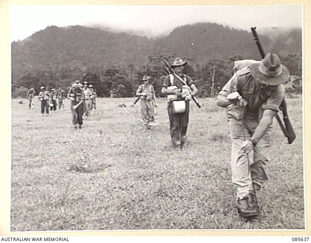 DANBULLA, QLD. 1945-01-19. A 2/5 FIELD COY SAPPER PRODDING FOR MINES ...