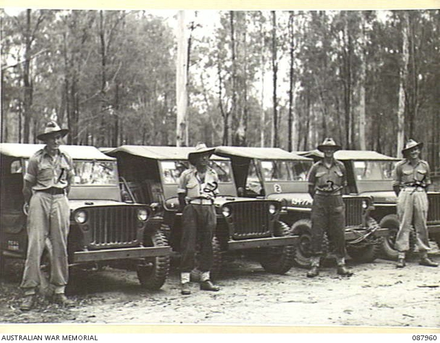 WONGABEL, QUEENSLAND. 1945-03-16. DRIVERS AT 15 MALARIA CONTROL UNIT ...