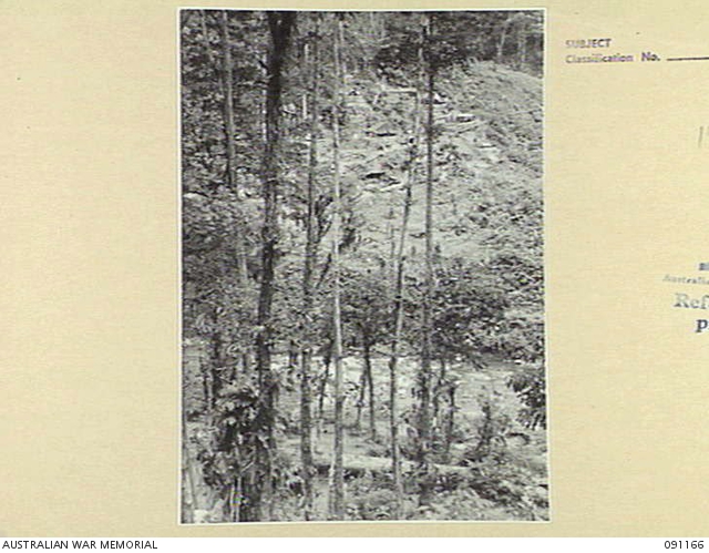 NUMA NUMA TRAIL, BOUGAINVILLE. 1945-04-23. THE 10 INFANTRY BATTALION ...