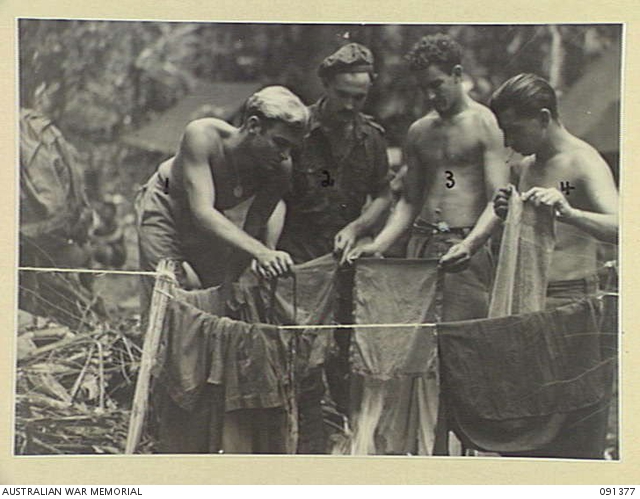 BOUGAINVILLE. 1945-04-30. TROOPS OF 9 INFANTRY BATTALION DRYING THEIR ...