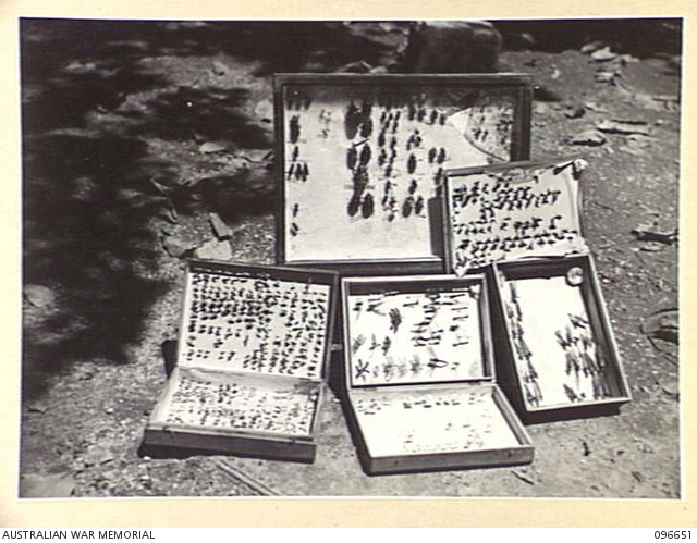 RABAUL, NEW BRITAIN. 1945-09-15. FOLLOWING THE SURRENDER OF THE ...