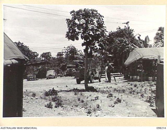NAMANULA, NEW BRITAIN. 1945-10-19. A GENERAL VIEW OF 290 LIGHT AID ...