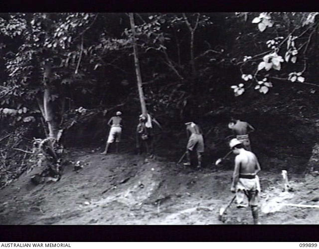 RABAUL, NEW BRITAIN, 1946-03-22. JAPANESE LABOURERS CLEARING JUNGLE IN ...