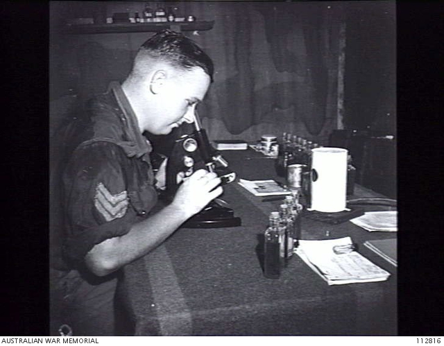 BALIKPAPAN, BORNEO, 3 AUGUST 1945. SERGEANT W GUTHRIE EXAMINING MALARIA ...