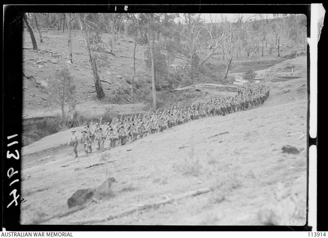 SINGLETON, NSW. 1945-08-22. MEMBERS OF D COMPANY, 13/33RD INFANTRY ...