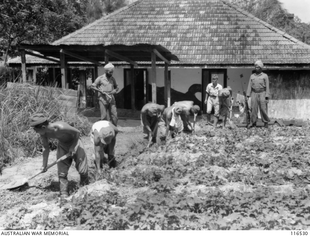 SINGAPORE. 1945-09-16. SIKH GUARDS SUPERVISING JAPANESE POWS WHO ARE ...