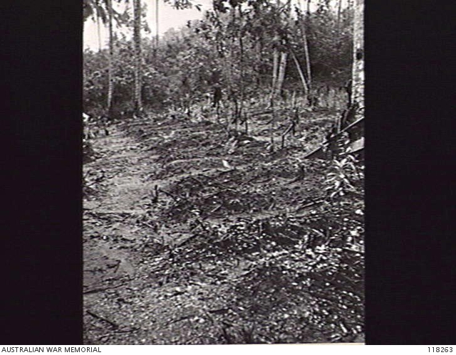 AMBON ISLAND. 1945-09-22. A SECTION OF ONE OF THE TWO 8TH DIVISION ...