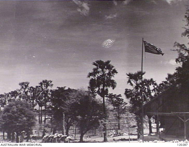 PENFOEI, DUTCH TIMOR 1945-11-09. TIMFORCE. EVERY MORNING BEFORE AND ...
