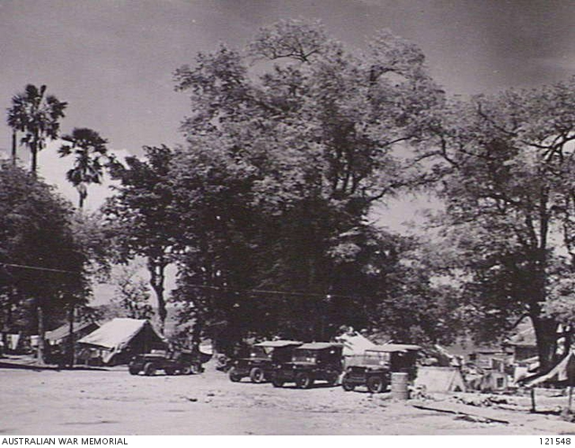 KOEPANG, DUTCH TIMOR 1945-11-29. FOUR JEEPS IN THE TRANSPORT LINES OF ...