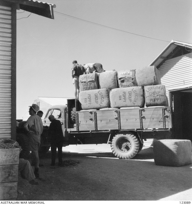 BARMERA, SA 1944-01. NO. 14 CAMP GARDENS, LOVEDAY INTERNMENT GROUP ...