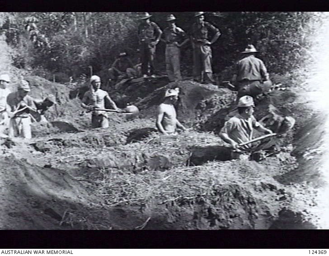 BATUMERAH, AMBON. 1945-12-12. JAPANESE PRISONERS OF WAR DIGGING FOR ...