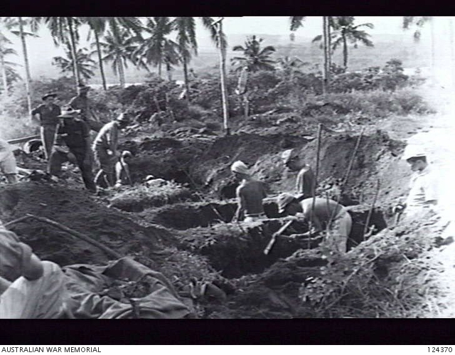 BATUMERAH, AMBON. 1945-12-12. JAPANESE PRISONERS OF WAR DIGGING FOR ...