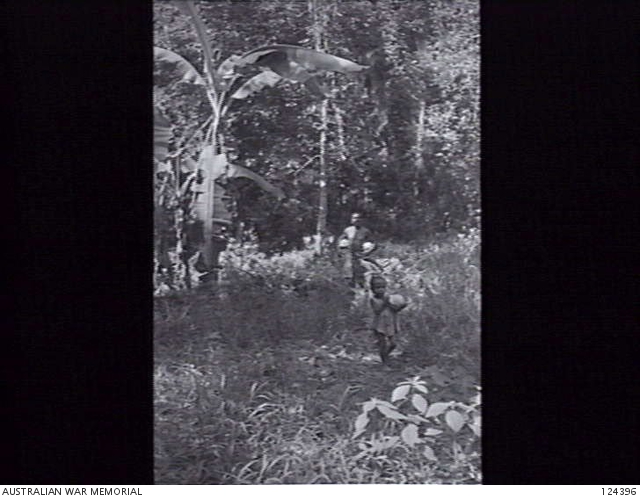 LAHA, AMBON 1945-12-15. THIS AMBONESE MAN AND CHILD ARE WALKING ON A ...