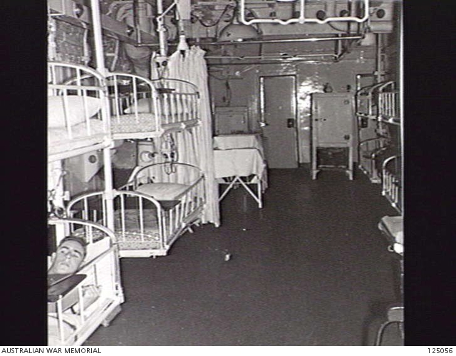 BUNKS IN THE SICK BAY OF HMAS SHROPSHIRE. (PHOTOGRAPHER PTE M. V ...