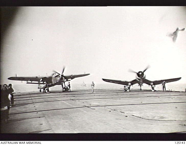 SYDNEY, NSW 1946-01-12. A BARRACUDA TORPEDO BOMBER (LEFT) AND A CORSAIR ...
