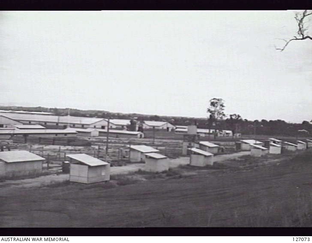 BANYO, QLD. 1946-05-17. EXTERIOR VIEW OF BUILDINGS AND SURROUNDING ...