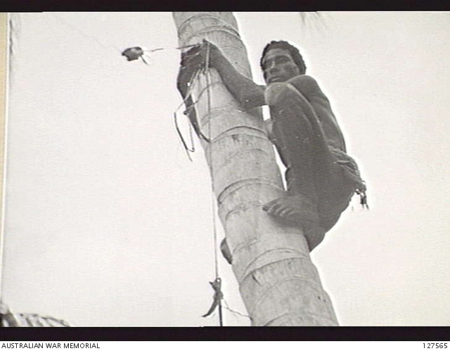 PONGANI, NEW GUINEA. 1942-10. A NATIVE POLICEMAN OF THE ROYAL PAPUAN ...