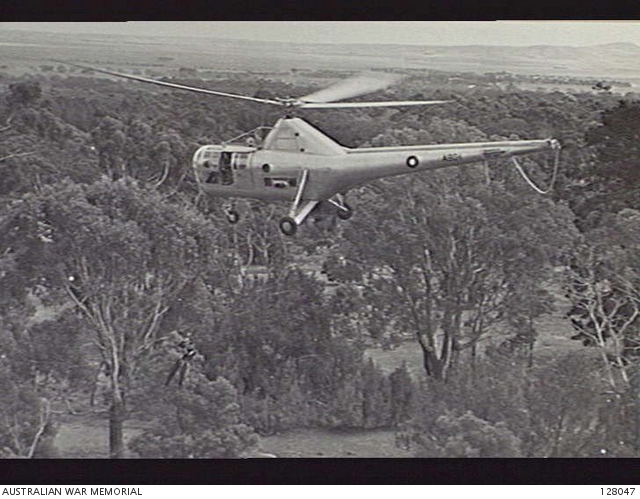 RAAF SIKORSKY S-51 HELICOPTER (A80-1) WINCHING A MAN FROM BUSHLAND ...