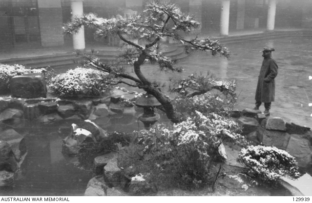 The main contingent of the Australian component of British Commonwealth ...