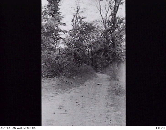PINIOS RIVER, GREECE. 1945-04-22. ROAD THROUGH A 2/3RD BATTALION ...