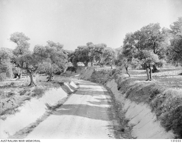 WADI PIGI, CRETE. 1945-06-17. VIEW OF THE COUNTRYSIDE IN THE RETHYMNON ...