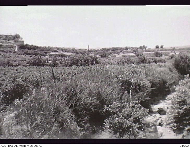 RETIMO, (RETHYMNON), CRETE. 1945-06-16. A DEPRESSION (WADI) NEAR HILL A ...
