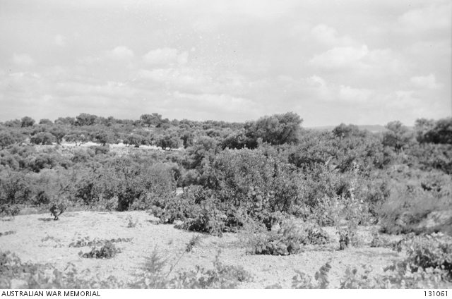 RETIMO (RETHYMNON), CRETE. 1945-06-16. HILL D, SEEN FROM THE SITE IN ...