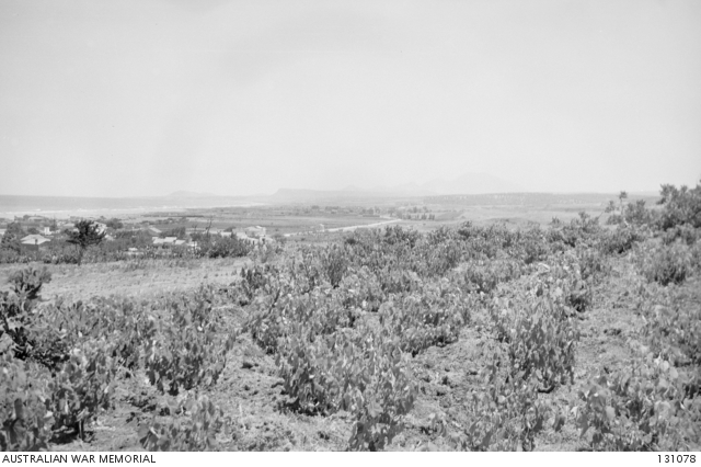 CRETE. 1945-06-17. LOOKING TOWARDS THE RETIMO (RETHYMNON) AIRFIELD FROM ...